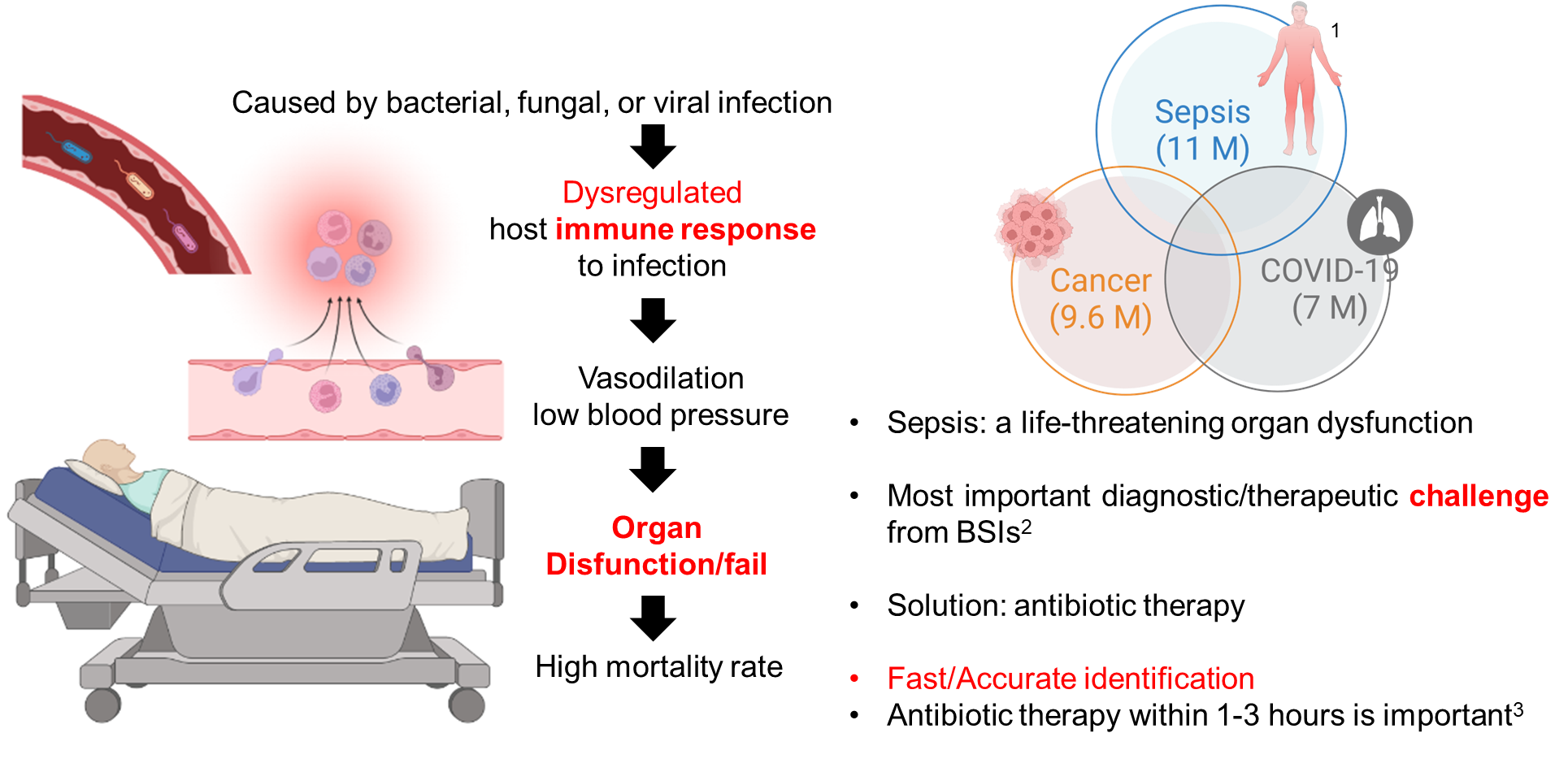 Bridging the Gap in Sepsis Diagnosis: Innovations and Challenges in ...